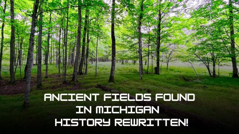 Ancient Raised Fields in Michigan Expose 1,000-Year-Old Native Farming ...